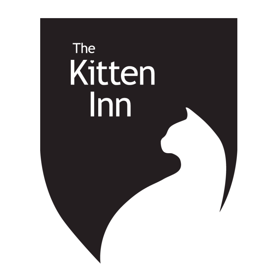 OUR EVENTS — bodyelectricpole.nz